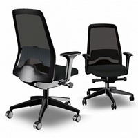 Interstuhl EVERYis1 EV211 Meyer